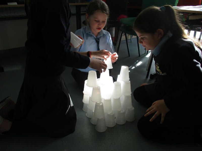 P4 STEM investigation